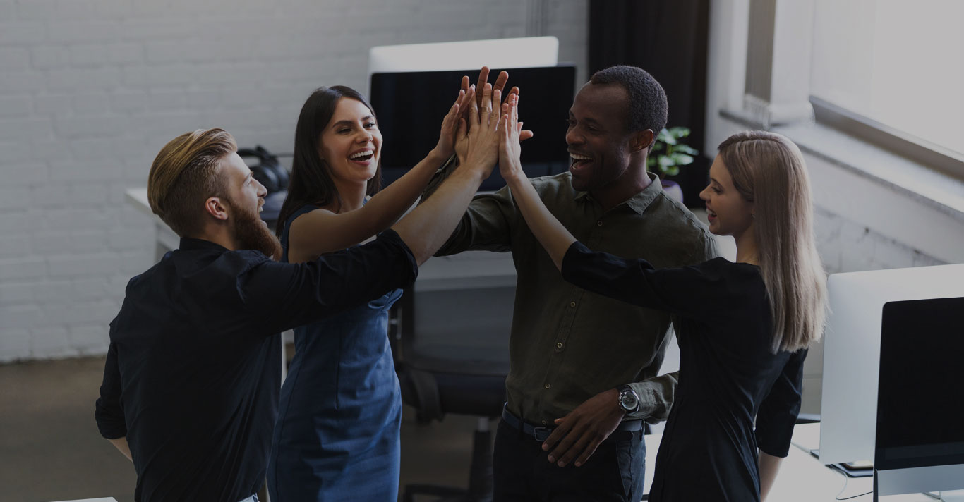 Home Version Eight – Softek